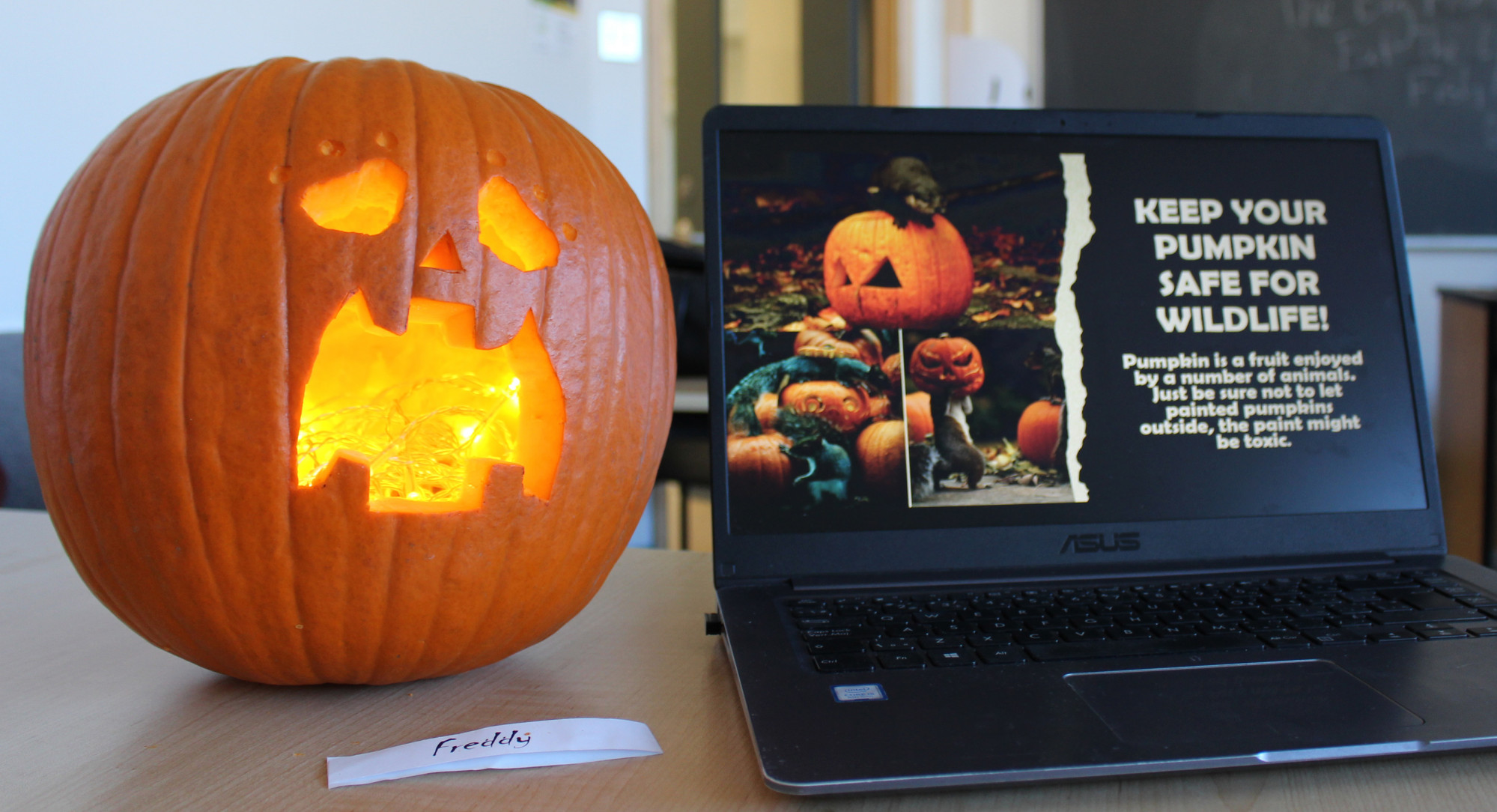 Le concours de citrouilles en images | Nouvelles | CECC - Centre d ...